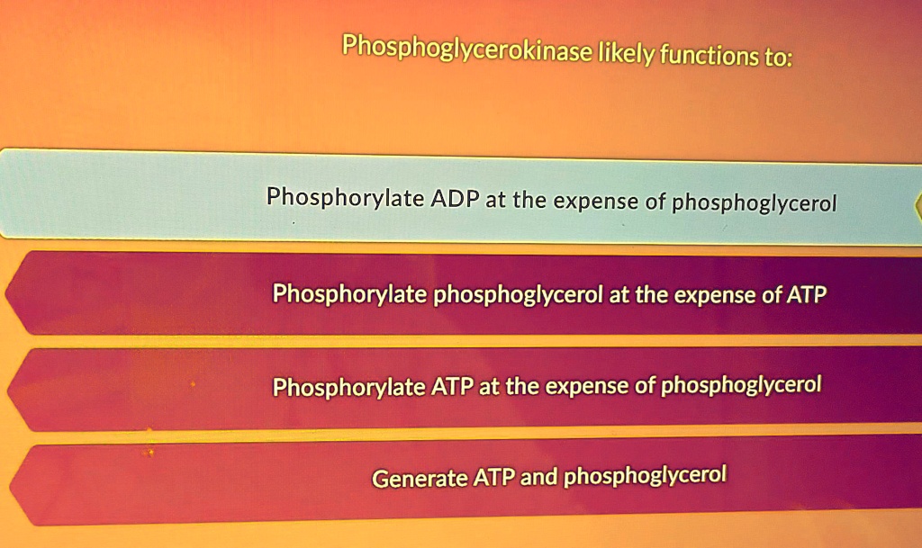 Phosphoglycerokinase likely functions to: Phosphorylate ADP at the ...