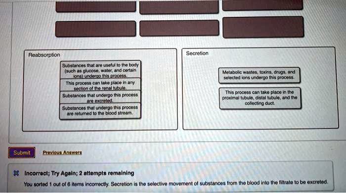 SOLVED: Reabsorption Secretion Substances that are useful to the body ... SOLVED: Reabsorption Secretion Substances that are useful to the body ...