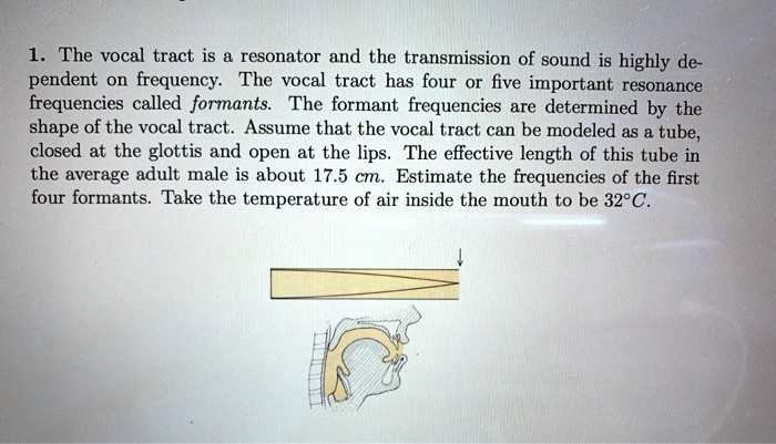 The Vocal Tract Is A Resonator And The Transmission Of Sound Is Highly