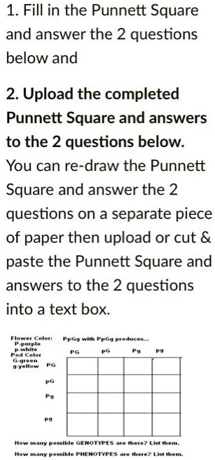 SOLVED: 1. Fill in the Punnett Square and answer the 2 questions below ...