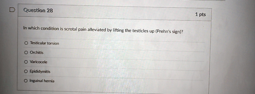 question 28 in which condition is scrotal pain alleviated by lifting ...