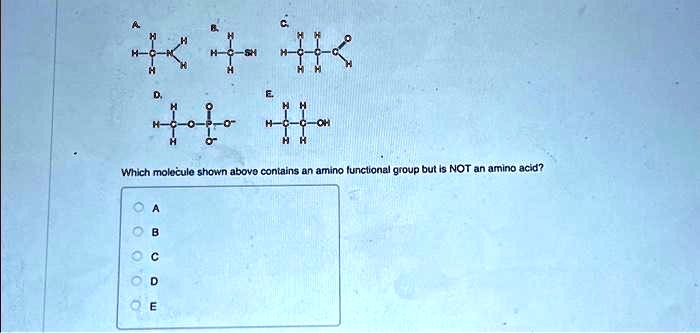 texts which molecule shown above contains an amino functional group but ...