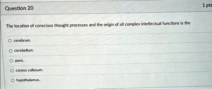 SOLVED: The location of conscious thought processes and the origin of ...