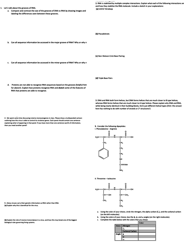 Let's talk about the grooves of RNA. a. Compare and contrast the size ...