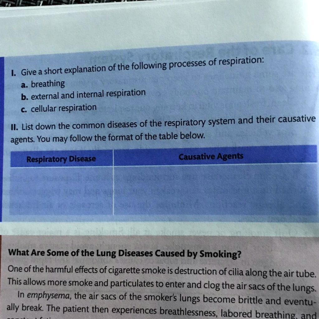 SOLVED: II. List down the common diseases of the respiratory system and ...