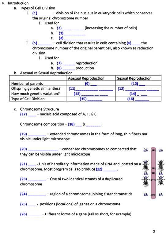 SOLVED: Introduction Types of Cell Division division of the nucleus eur ...
