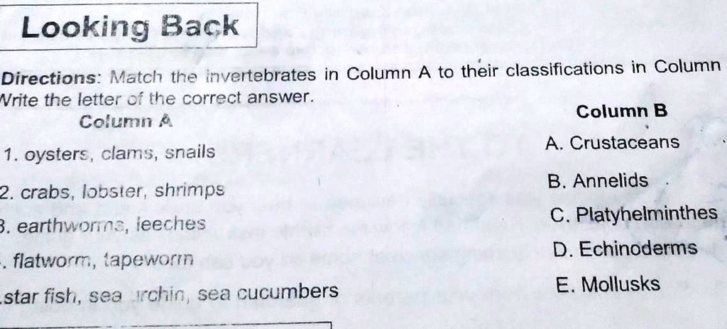 match the invertebrates in column a to their classifications in column ...