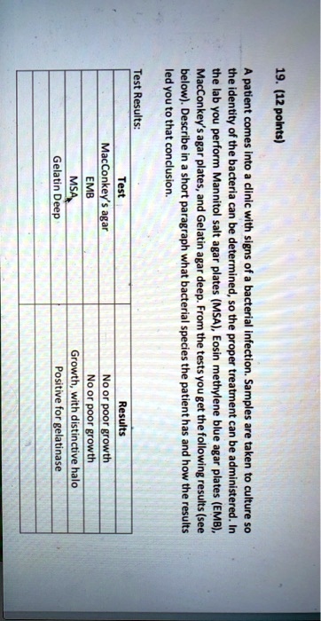 The MacConkey's agar is a selective and differential medium that is ...
