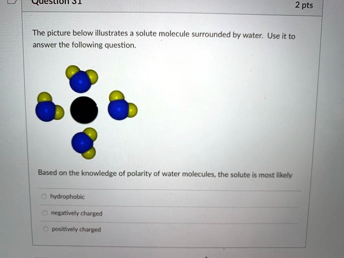 The picture below illustrates a solute molecule surrounded by water ...