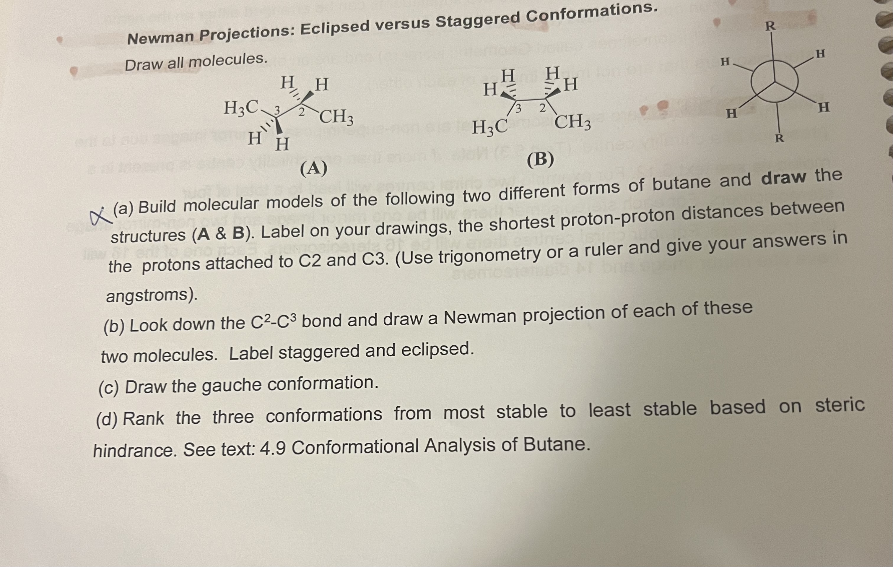 SOLVED: Newman Projections: Eclipsed versus Staggered Conformations. Draw all molecules. (A) (B ...