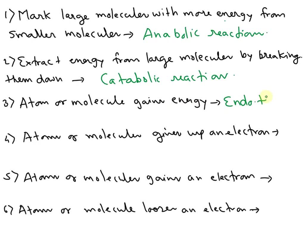 SOLVED: Match the following: - Make large molecules with more energy ...
