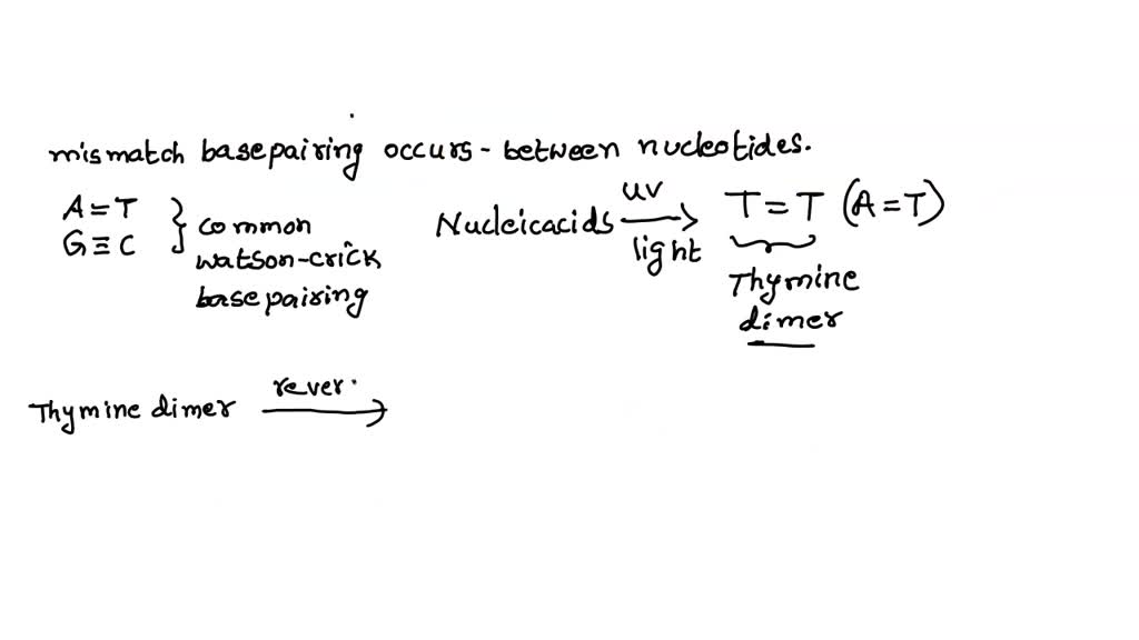 SOLVED: Alkylating agents such as Mustard gas used in WW1 can induce ...