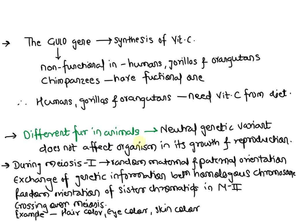 SOLVED: While the GULO gene shows significant differences between these ...
