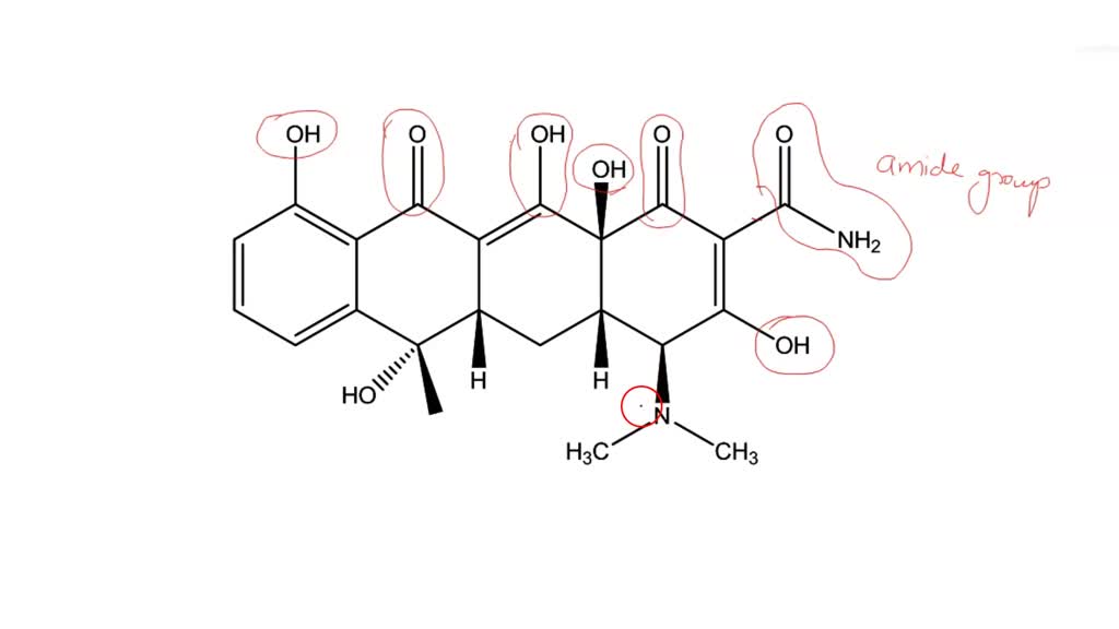 Circle and identify all the functional groups in the chemical structure ...