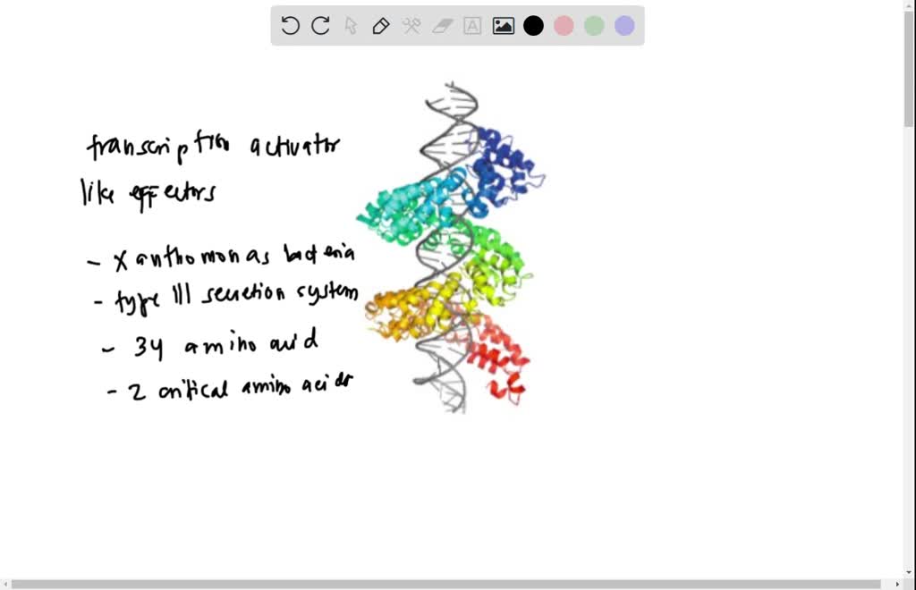 SOLVED: This image shows DNA (gray) interacting with a ...