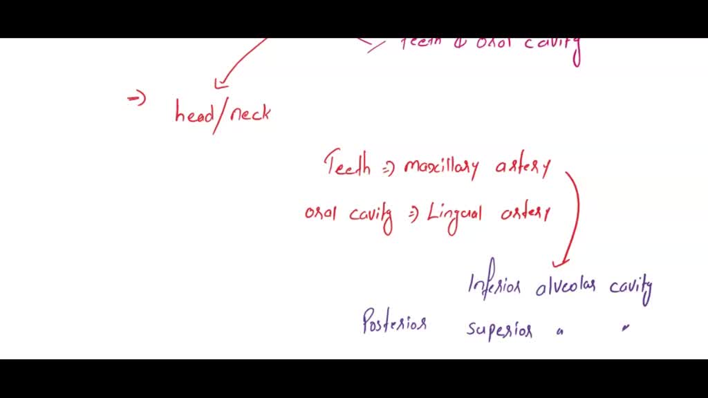 SOLVED: 'which structure is shown here? the medulla, the internal root ...