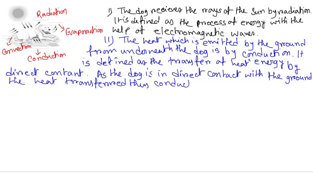 SOLVED: Use the image of the panting dog to identify the modes of heat ...