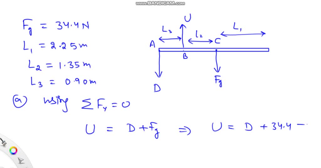 SOLVED: An athlete holds 32.5 pole in equilibrium bY exerting an upward ...