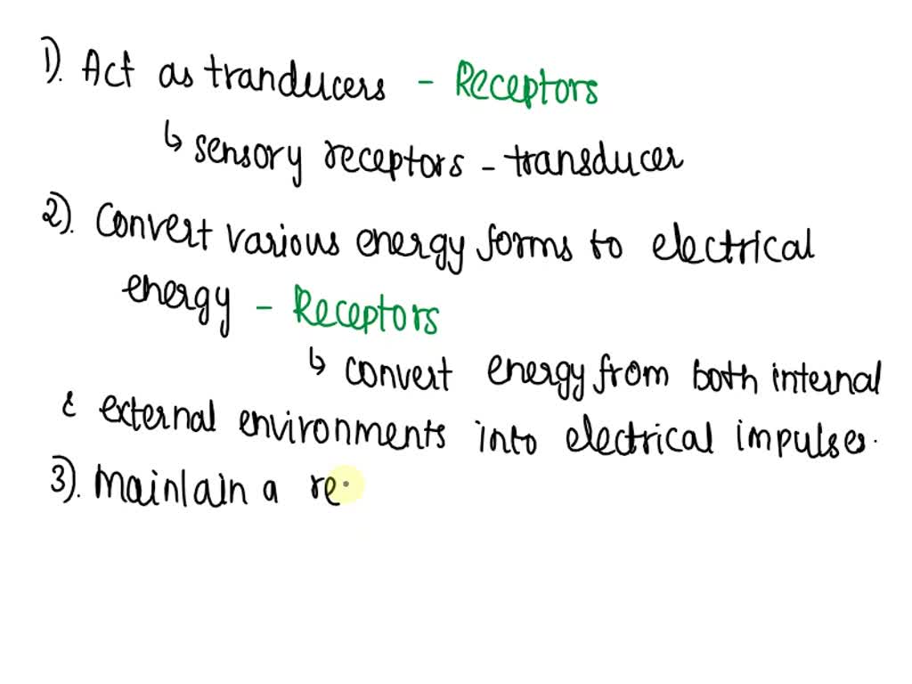 SOLVED: Classify the given terms or examples into the appropriate category. Items may be used ...