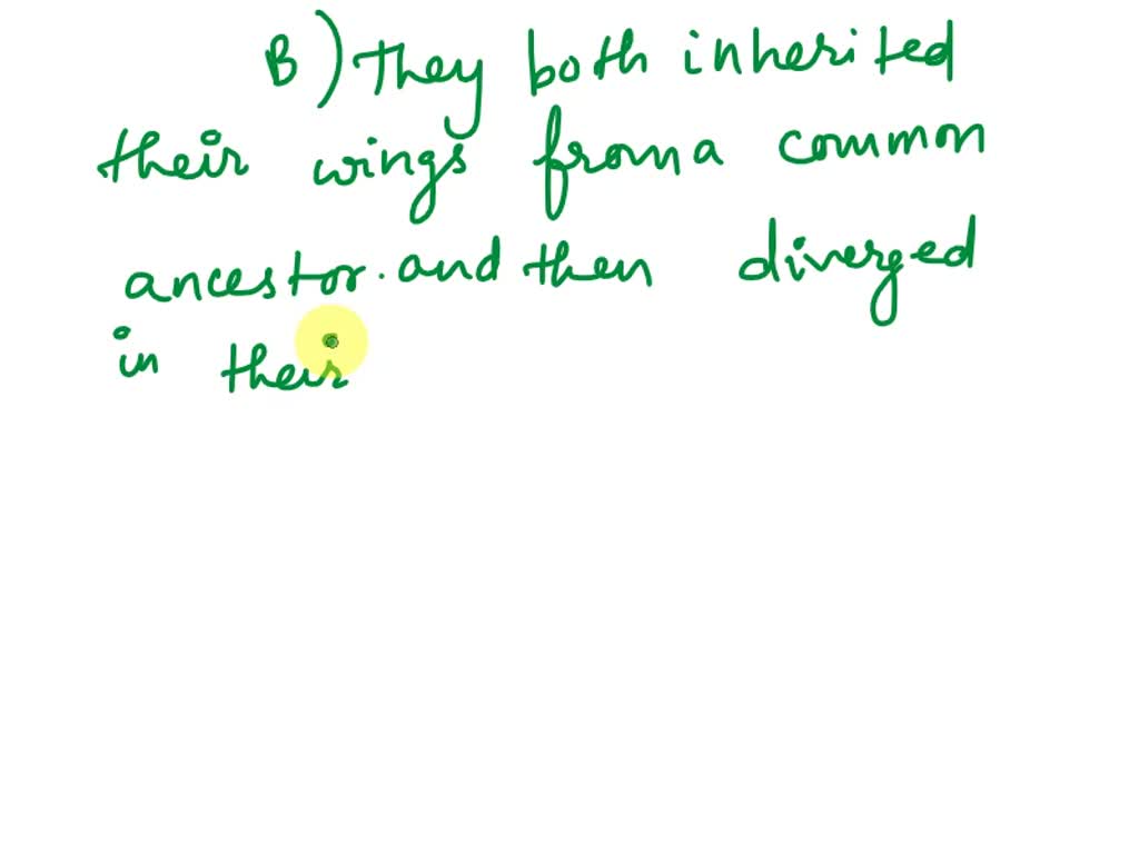 The image below compares the structure of a bat wing to that of a bird ...
