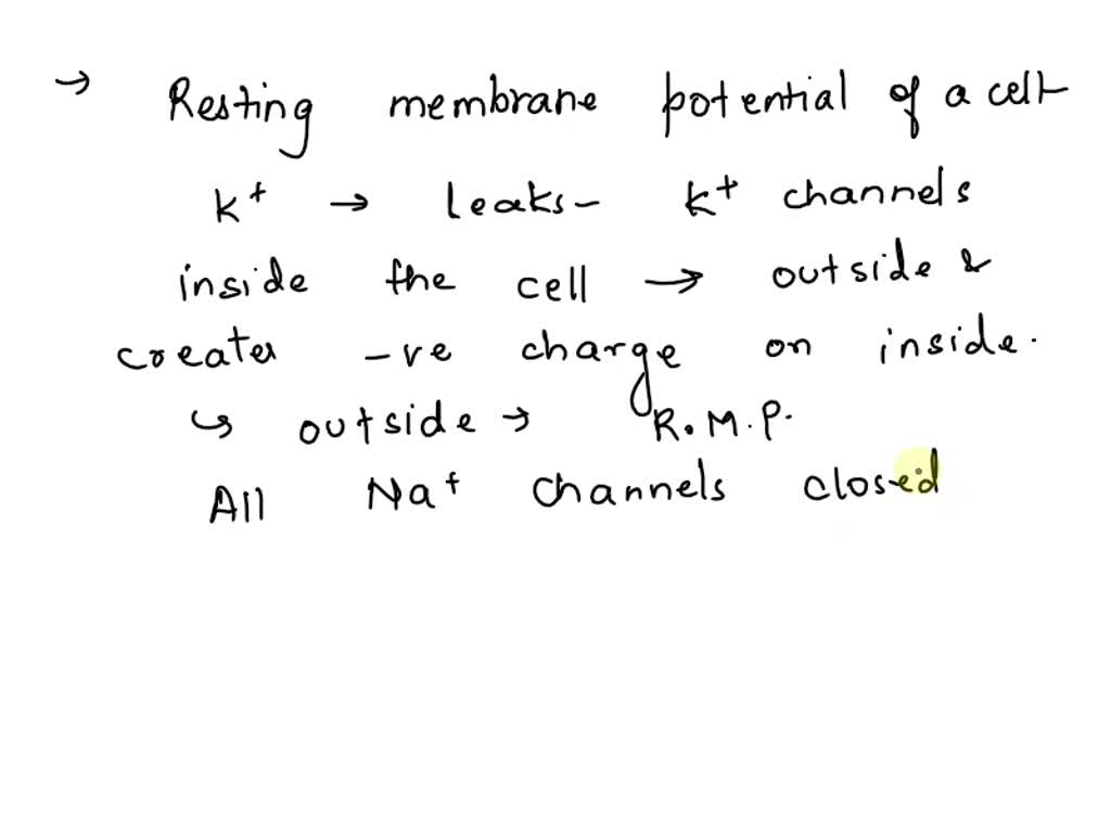 SOLVED: The resting membrane potential occurs when @Na+ions diffuse out ...