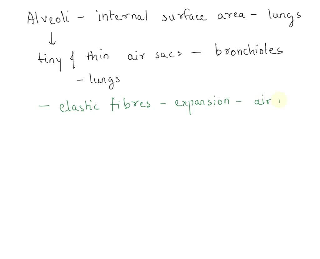 SOLVED Note The Lungs Are Not Hollow Instead They Are Divided Into solved-note-the-lungs-are-not-hollow-instead-they-are-divided-into
