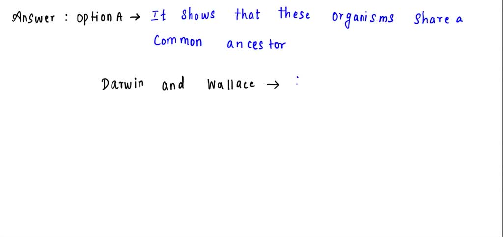 Solved Scientists Compare The Structures Of A Chicken Embryo And A Human Embryo At The Same