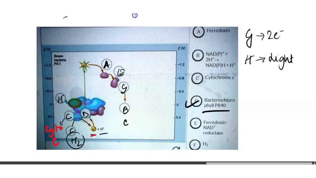 Label the following depiction of electron flow through a PSI-type ...