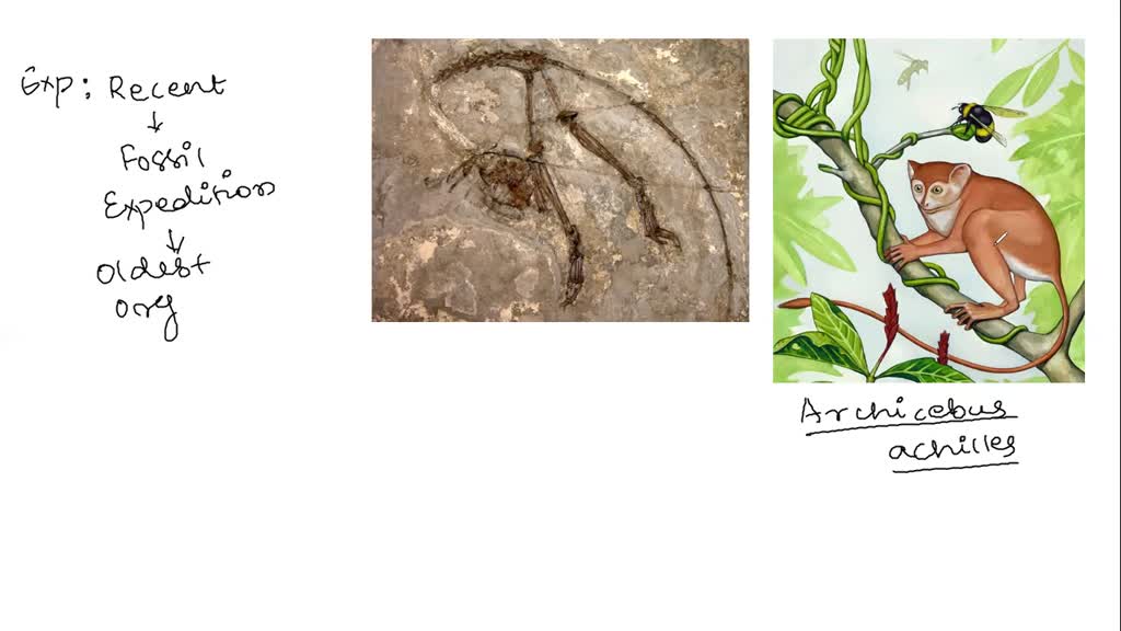 SOLVED: Which country has the largest number of discoveries of Indus ...