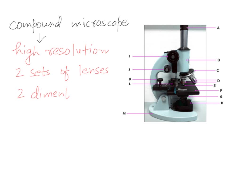 SOLVED: M Figure 8. Student compound microscope, with letters. Use for Data Table 1, Describe ...
