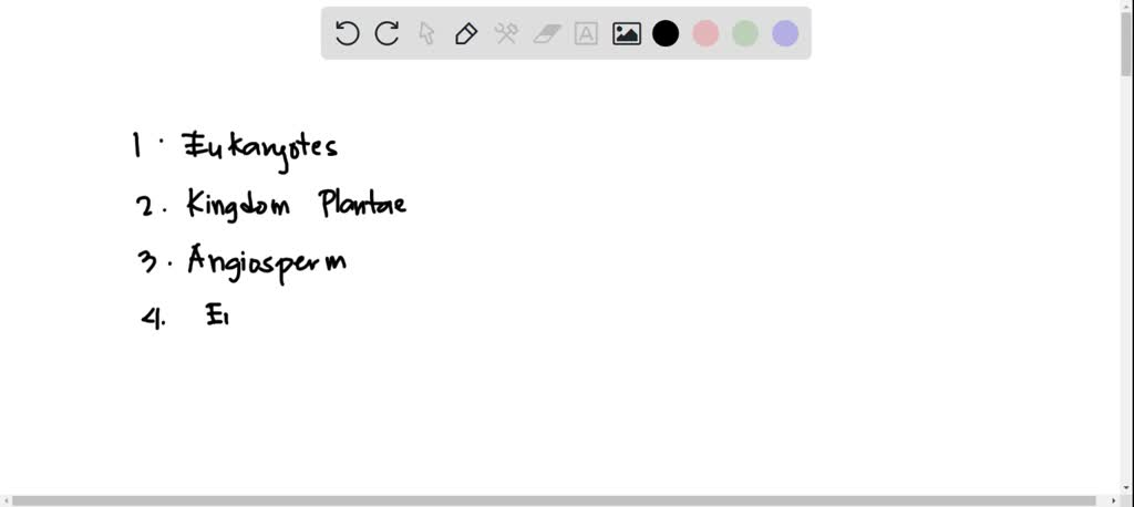 SOLVED: Place the following words and phrases in sequential order from ...