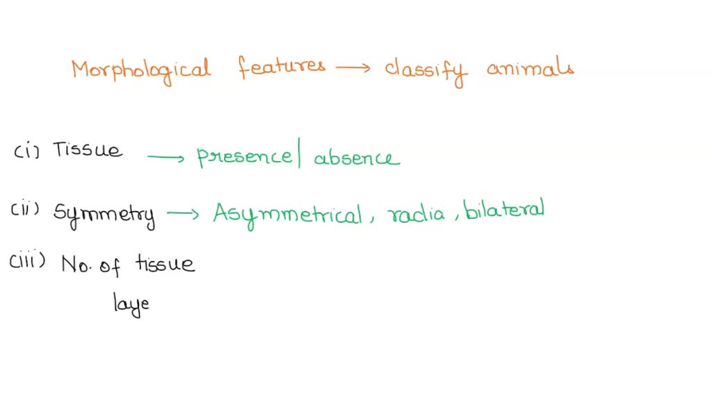 SOLVED: 1. (a) What are the two dimensions used to classify skills in ...