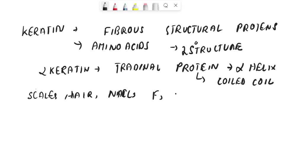 Solved A Keratin Is An Intermediate Filament With Basic Structura