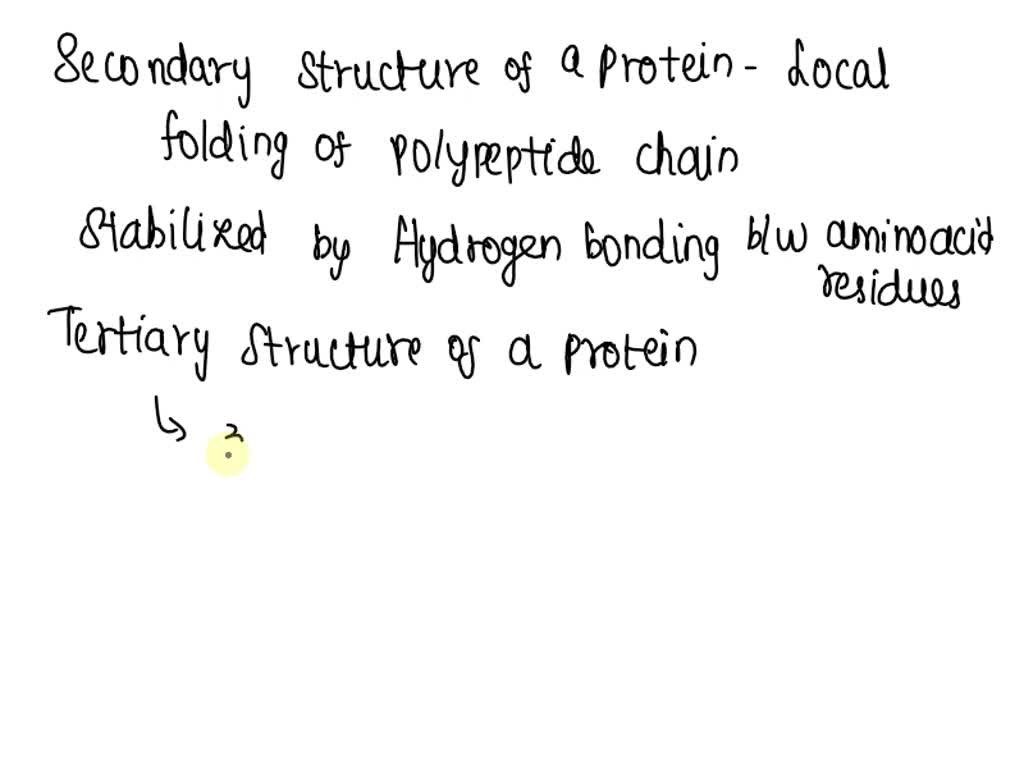 SOLVED: primary and secondary protein structures Drag the terms on the ...