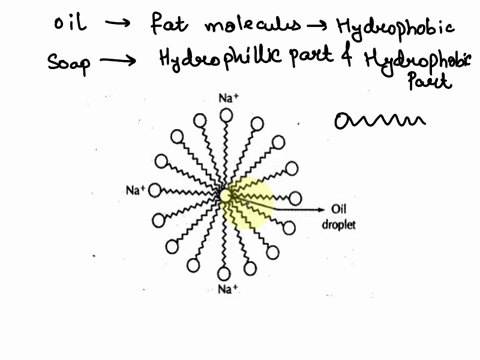 Comns how docs cquation for the saponification stnnetural...