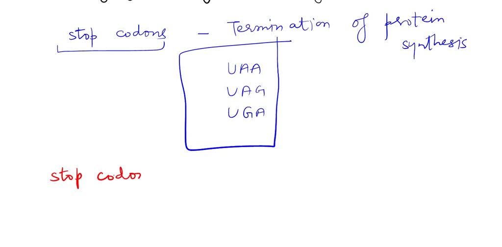 SOLVED: Formation of the terminator structure in riboswitches is ...