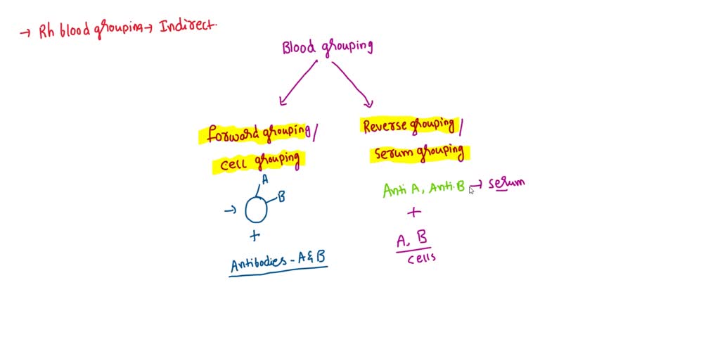 SOLVED: Can you use the same principle of the ABO indirect blood ...