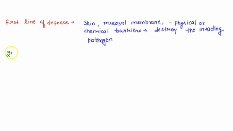 The first line of defense against pathogens...