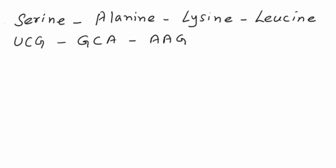 Codon on mRNA and corresponding amino acid UUA leucine UAA...