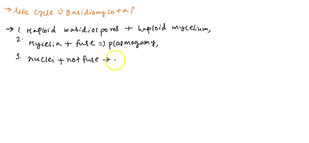 SOLVED: '1.) Basidomycete life cycle skelch and identily with labels ...