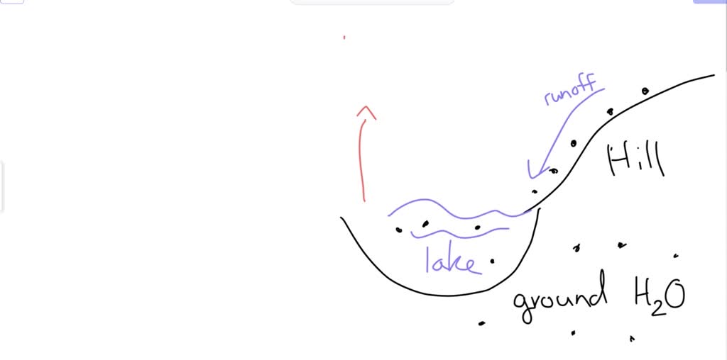 GE2210 Week 3 Lab 1: Water Pollution Introduction: In this lab, you ...