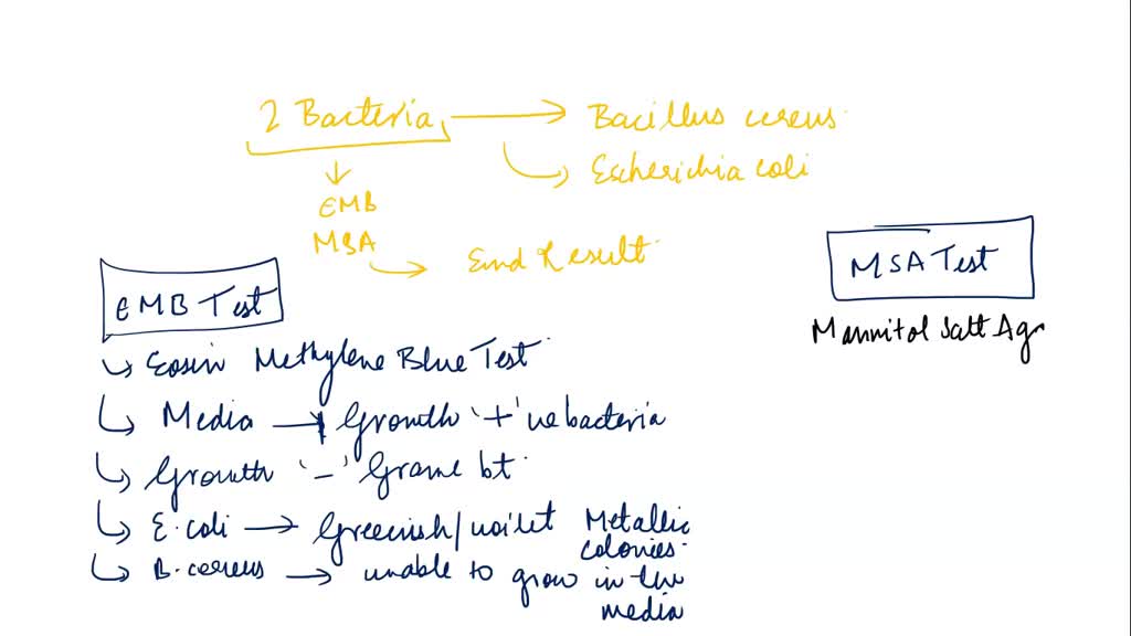SOLVED: I have given you two bacteria (Bacillus cereus and Escherichia ...