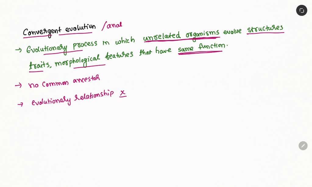 SOLVED: Convergent evolution demonstrates what three parts of ...