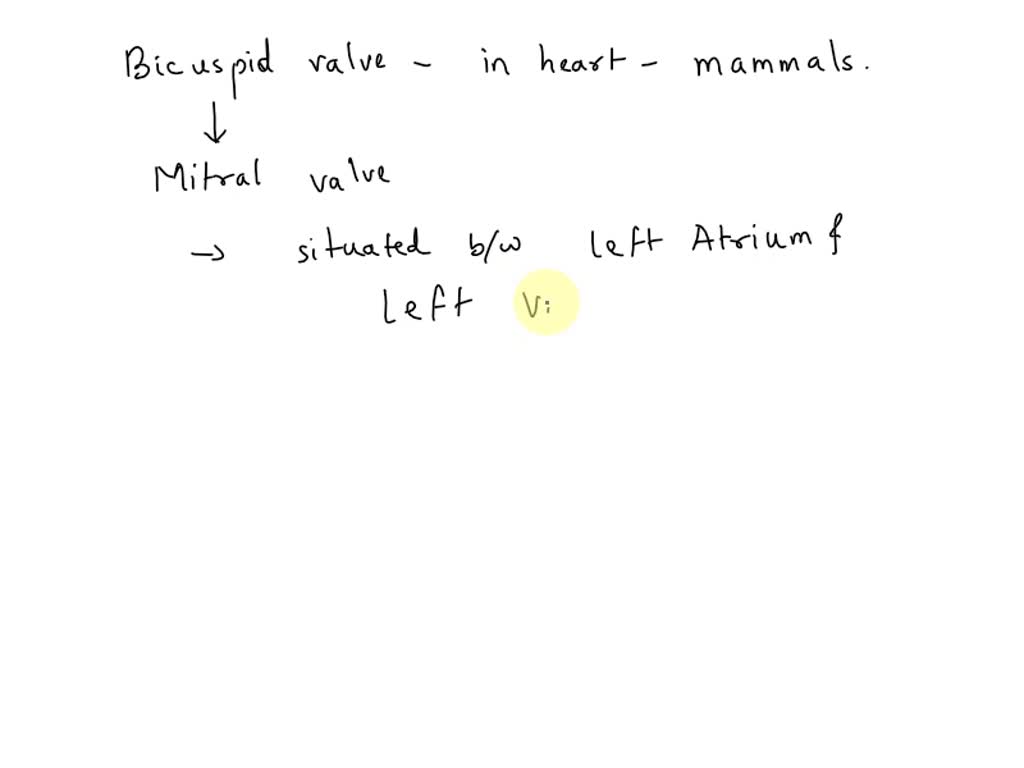 SOLVED: 51. In the heart of mammals, the bicuspid valve issituated ...