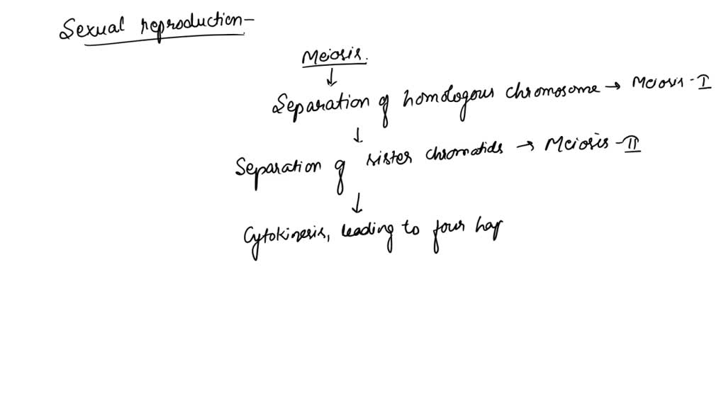 SOLVED: Place the following events of sexual reproduction in the ...