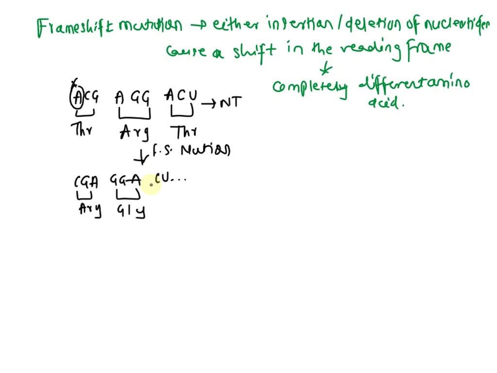 SOLVED: Take a screenshot of the sequences, highlight the mutations ...