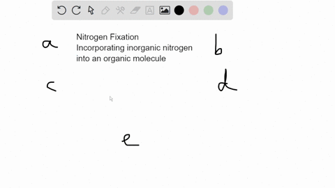 During nitrogen fixation microorganisms convert group of...