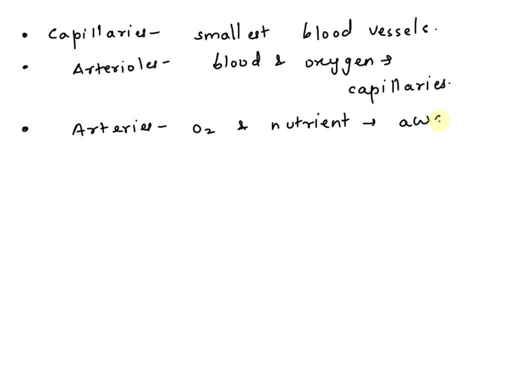 SOLVED: QUESTION 6 Match the description with the correct blood vessel. Blood moves through ...