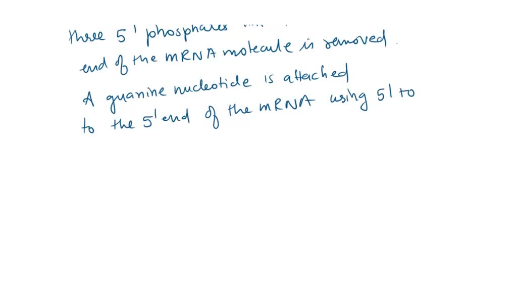 SOLVED: (a) What is the 5 cap? (b) How is the 5 ' cap added to ...
