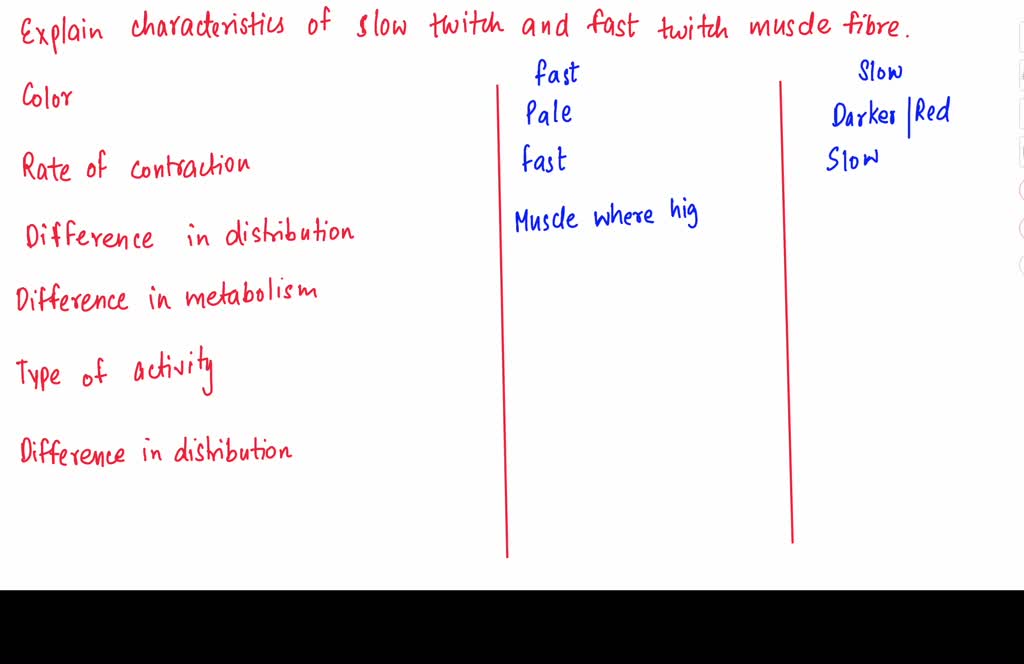 SOLVED: Explain the characteristics of the three types of muscle fiber ...